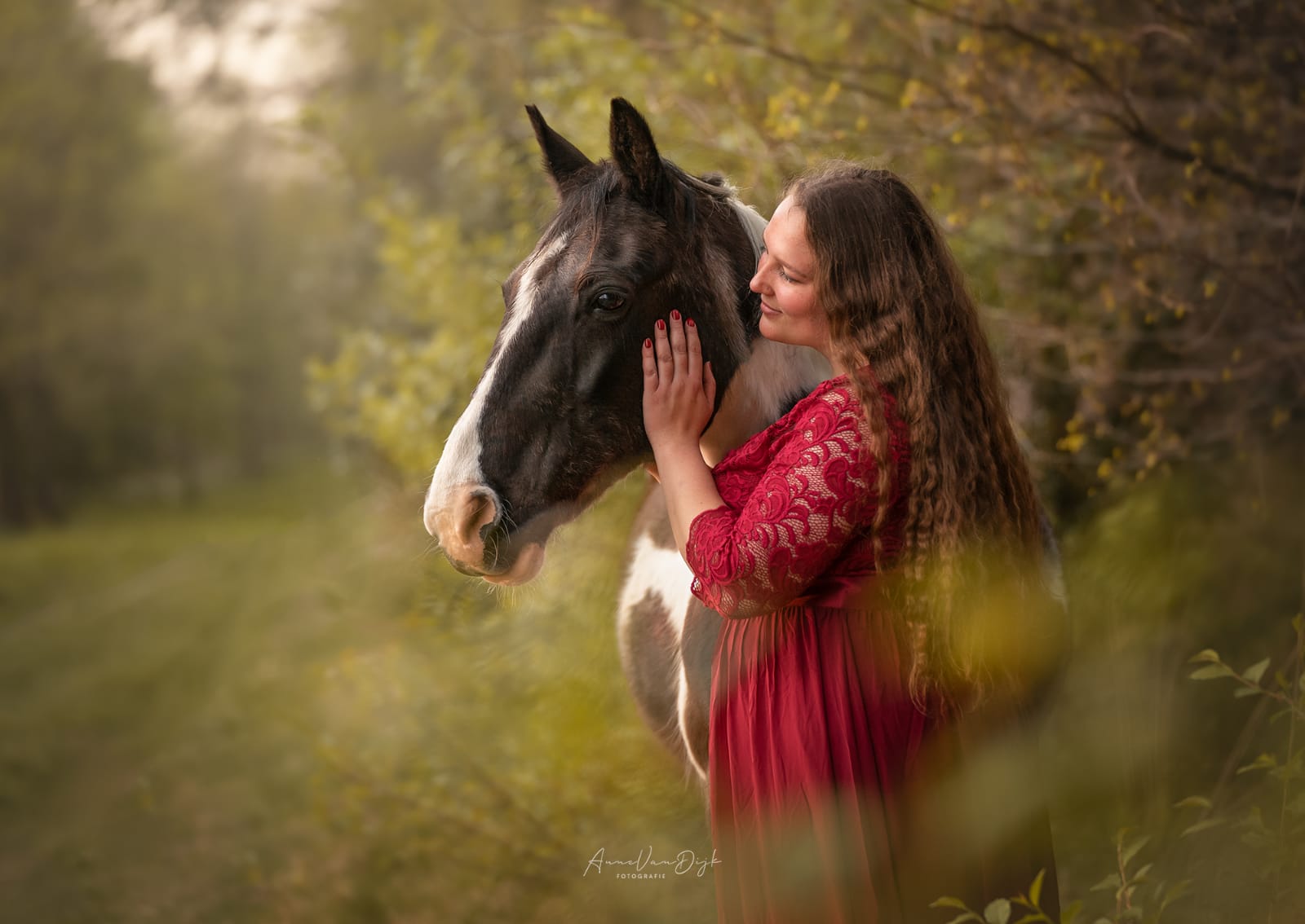 paardencoach